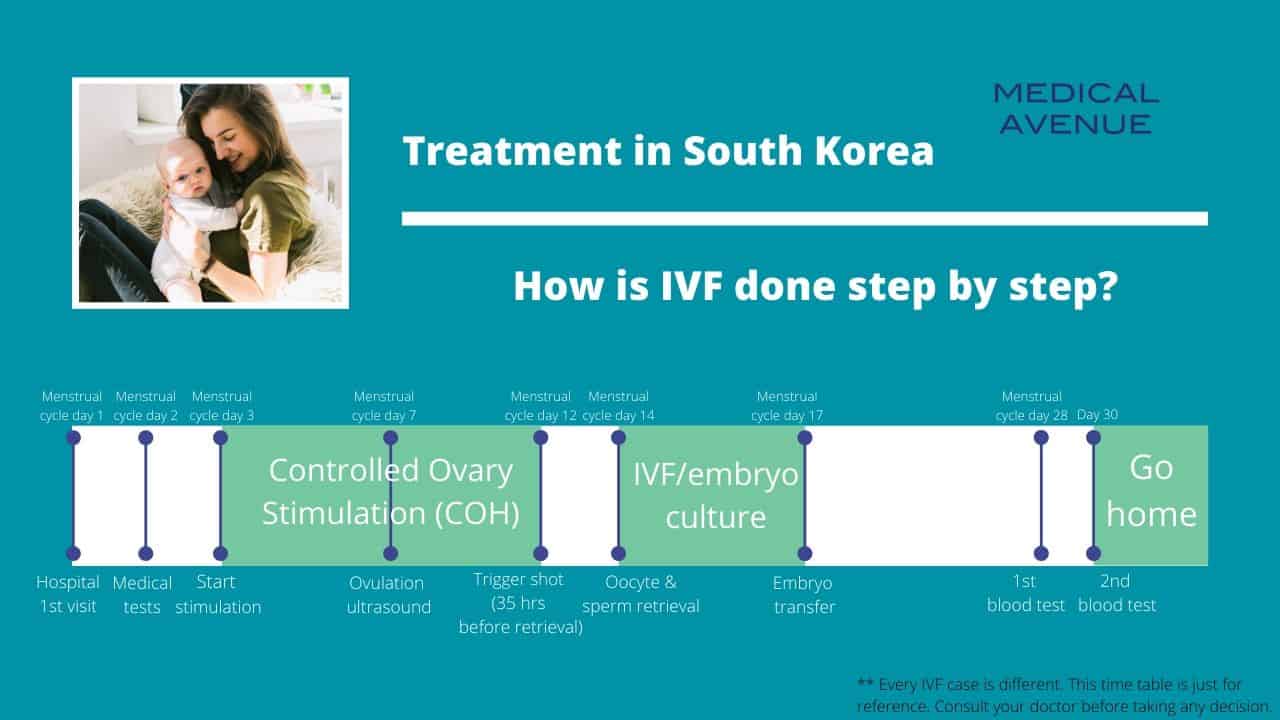 IVF treatment in South Korea information sheet | Medical Avenue